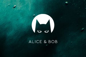 About - Supernova Invest